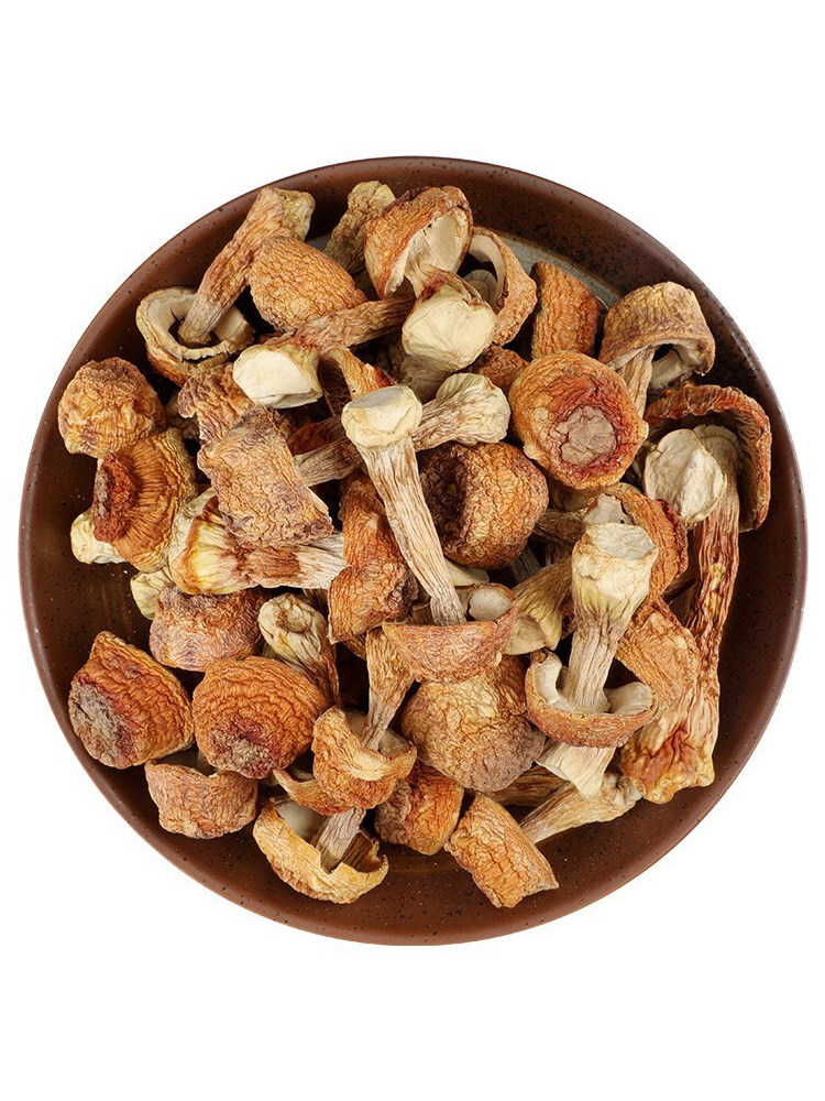 Agaricus Blazei Murill Seleccionado de Jupin Town 250g - Hongo ...