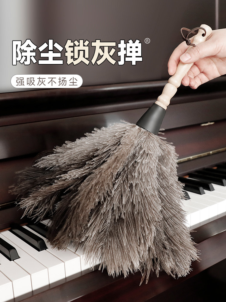 Yizhichu Feather Duster - Electrostatic Dust Removal Cleaning Tool