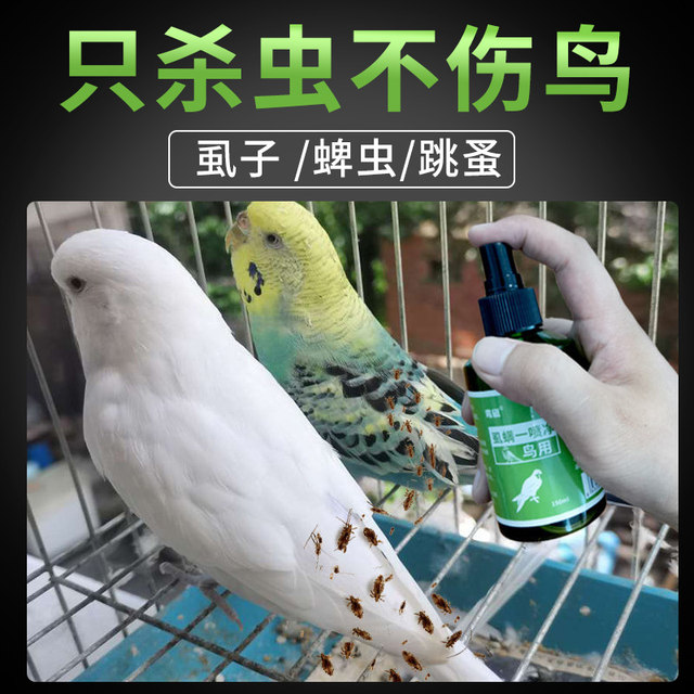 External insect repellent spray for parrots, ready-made medicine to ...
