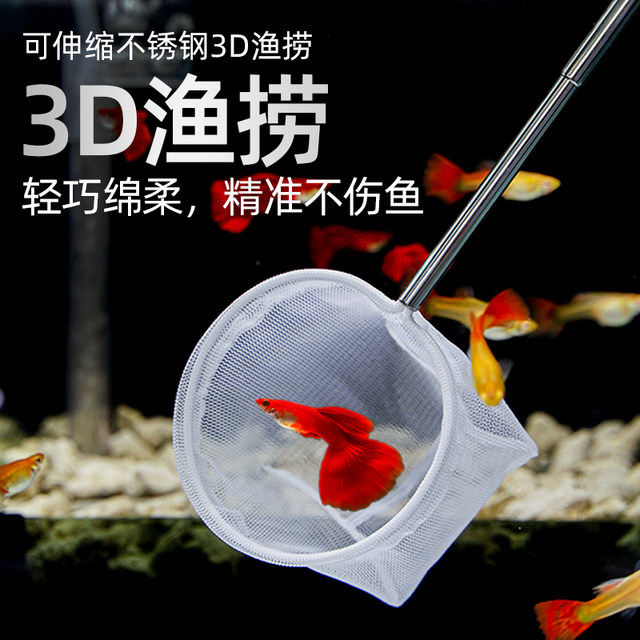 Fish fishing net fish tank net fishing small fish trumpet 3d fishing ...