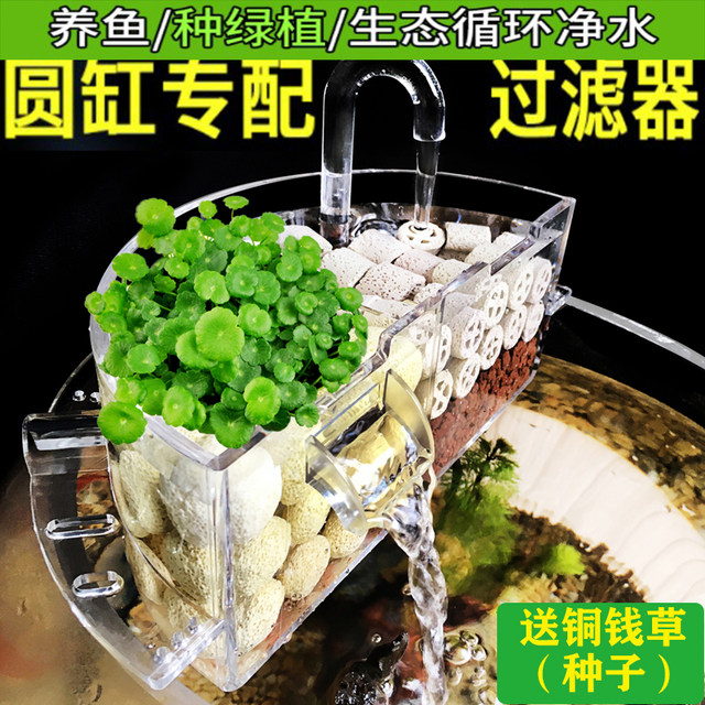 Round glass fish cylinder filter oxygen -added one small filter box ...