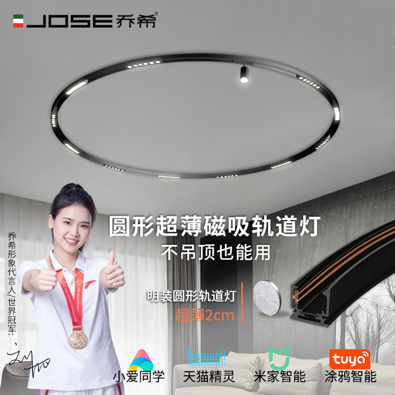 Josh Round Magnetic Track Light for Customizable Illumination