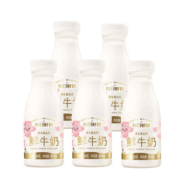 Mengniu Daily Fresh Milk 250ml bottle full-fat high-end breakfast pasteurized low-temperature ...