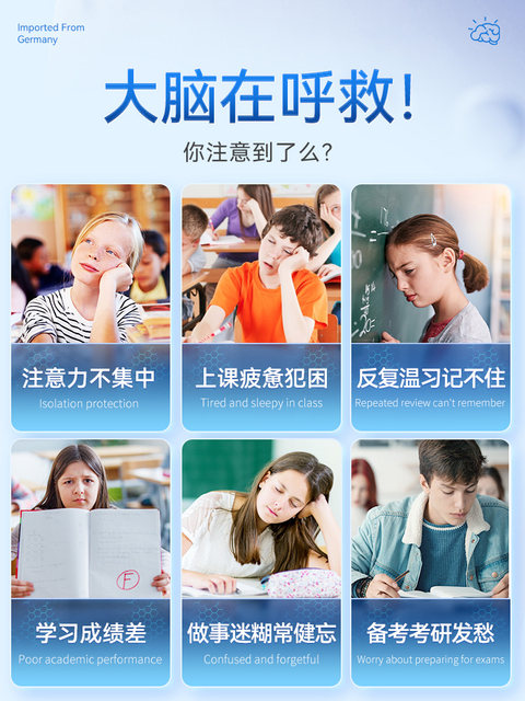 Moslate Yuanbao Maple Seed Oil Nervonic Acid DHA Algae Oil Enhances ...