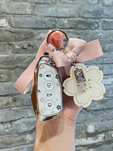 Haval Raptors Key Set H5 Dragon Max New Generation H6 Harvard H2S Red Rabbit F7X shell 2024 ...