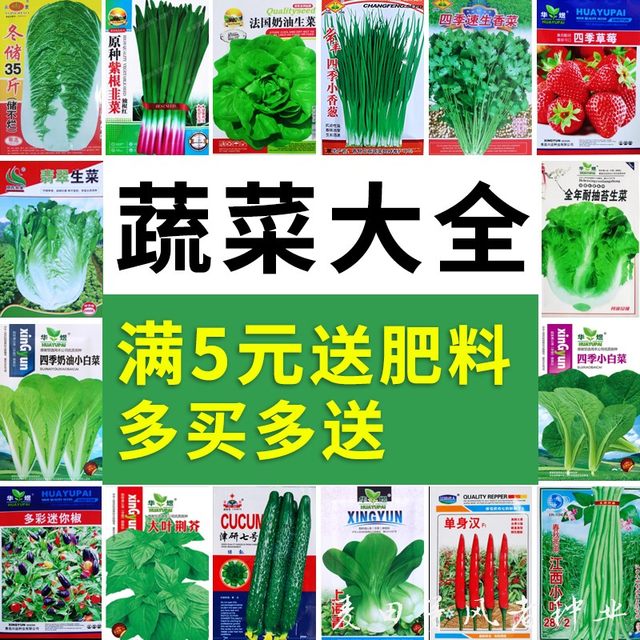 Complete list of vegetable seeds for sowing in pots for all seasons ...