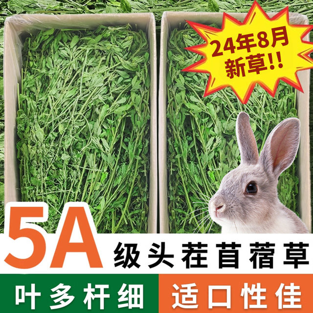 Alfalfa rabbit food for young rabbits purple flower hay edible food for ...