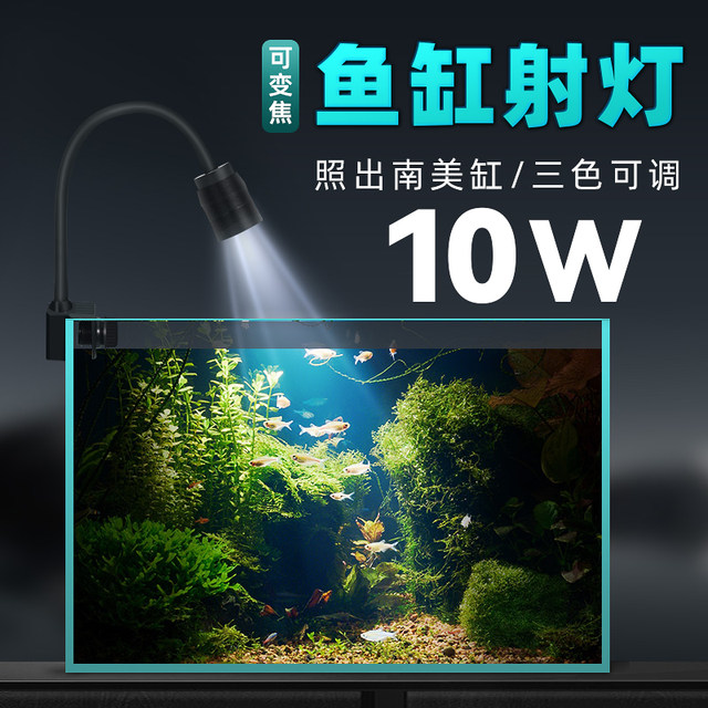 Fish tank spotlight South American scorched lamp native cylinder ...