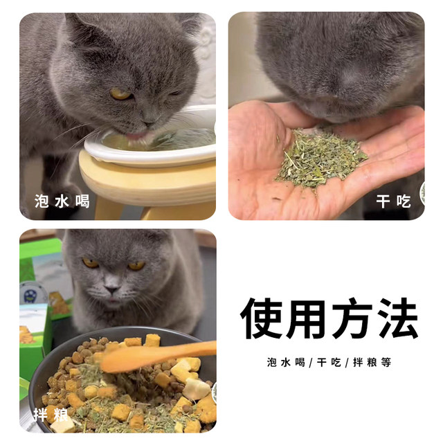 Catnip tea bags help cats drink water and digest. Cats regulate their ...