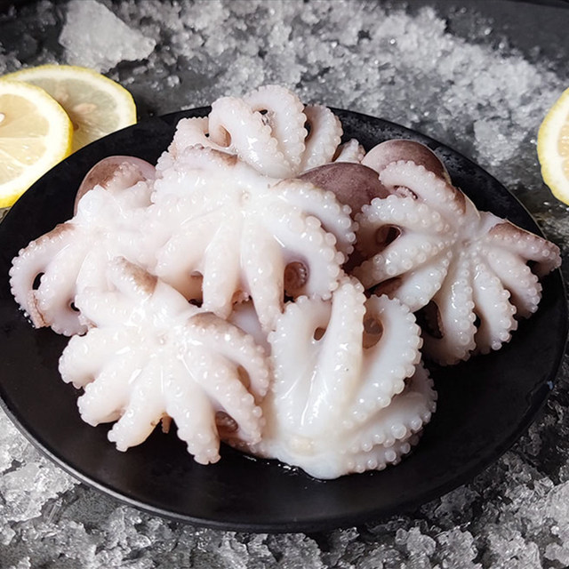 Three-cut octopus, fresh and processing-free, mini whole large octopus ...