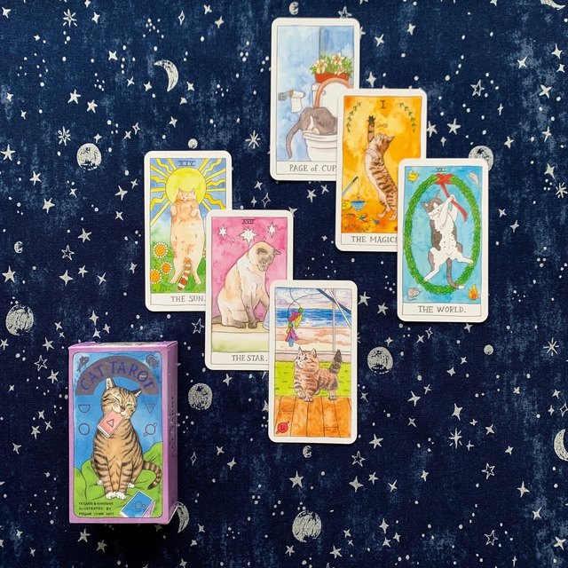 Tarot card Taluo card taluo card taro cute cat pink back Tarot card ...