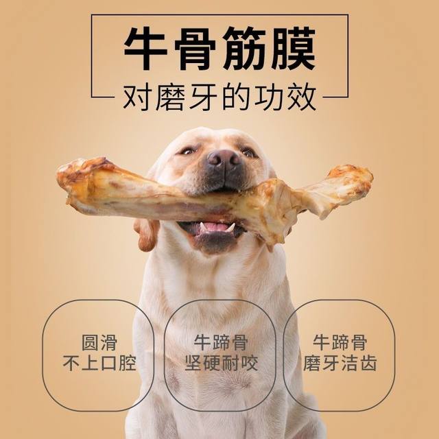 Dog molar stick air-dried beef stick bone dog snacks big bone molar ...