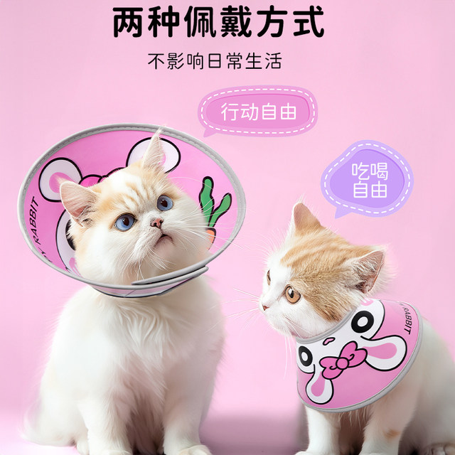 Elizabeth ring cat neutering collar anti-lick fleas British short cat ...