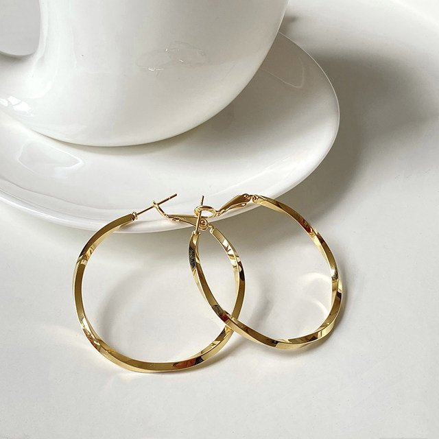 Simple cold style earrings plain hoop earrings 2024 new trendy niche design high-end temperament ...