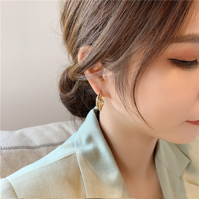 Simple hoop earrings 2024 new trendy summer cool style earrings niche design high-end sterling ...