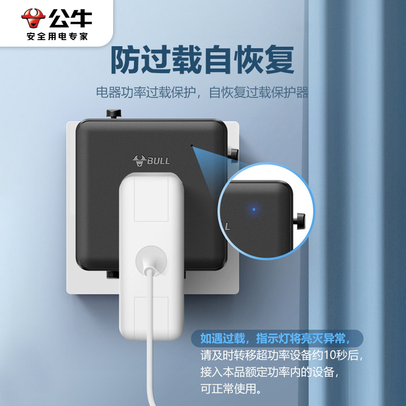 Bull International Universal Travel Adapter - Multi-Country Plug