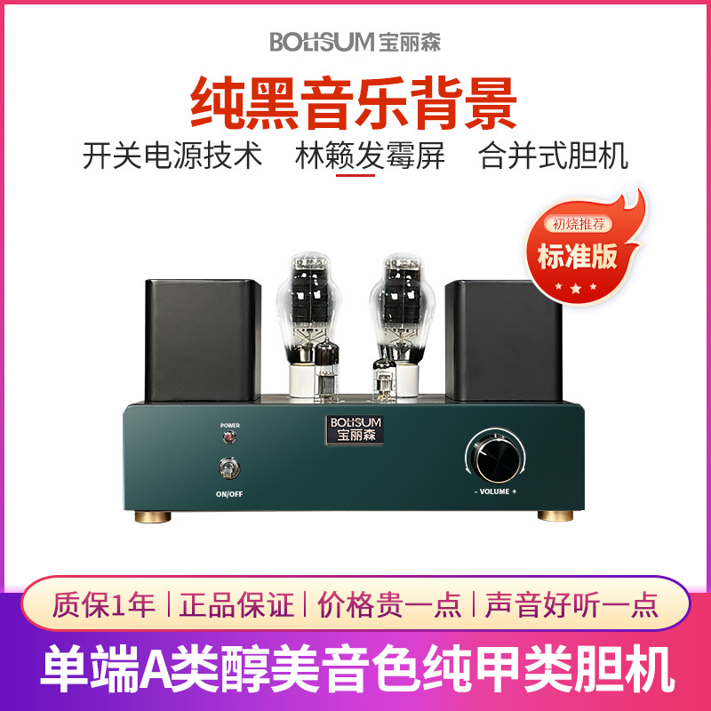 Bolisum 300B Tube Amplifier - Pure Class A Single-Ended Audio Amplifier