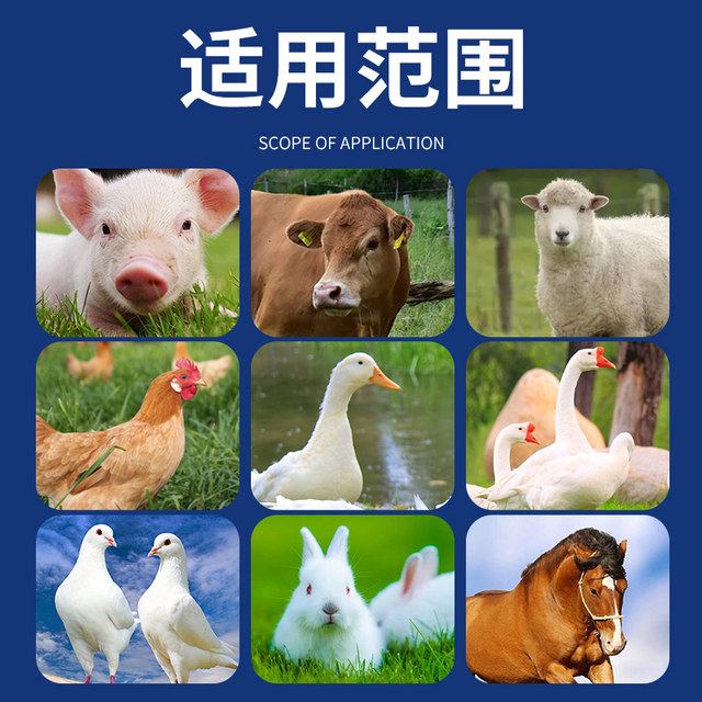 Calcium, phosphorus and eighteen supplements for cattle and sheep ...