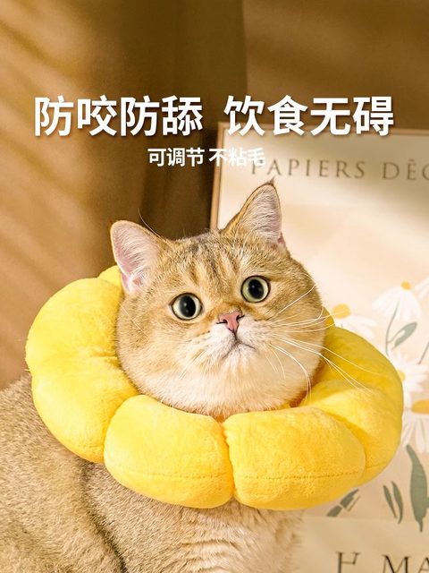 Elizabeth Cat Circle Dog Head Cover Soft Shame Circle Anti-Licking ...
