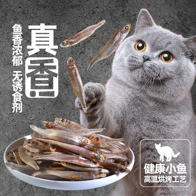 Cat snacks, dried fish, snacks for cats, dry pet food, staple food ...