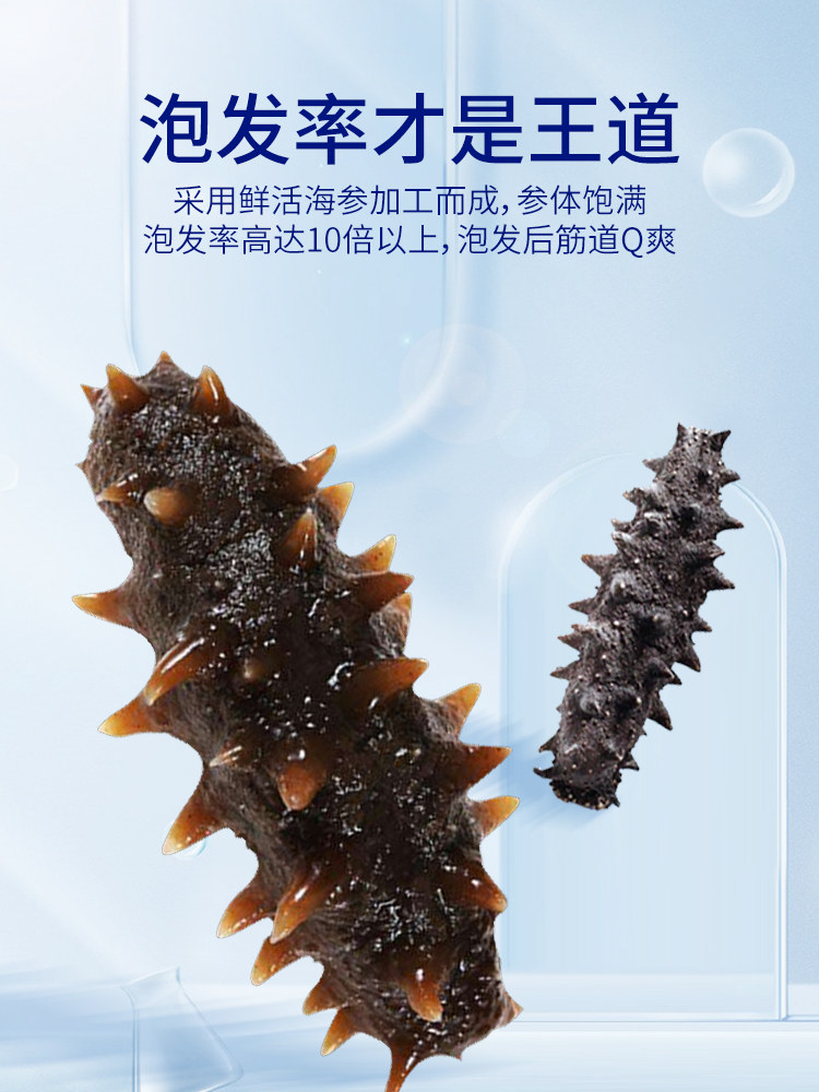 Tongqingxiang Dalian Light Dried Sea Cucumber - 500g Gift Box with Ginseng