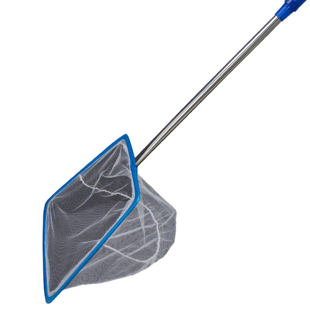 Fish Fish Net Fish Tank Small Fish Fish Fishing Nets, Fishing Fish Copy ...