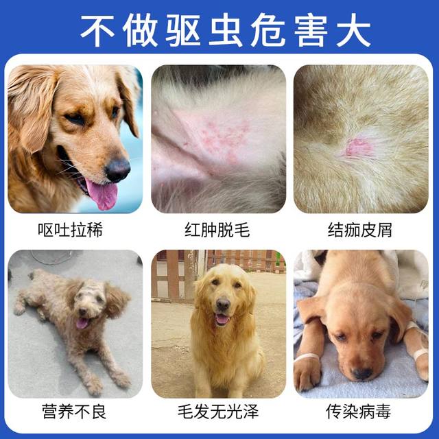 Dog anthelmintic medicine for pet dogs, internal and external all-in ...