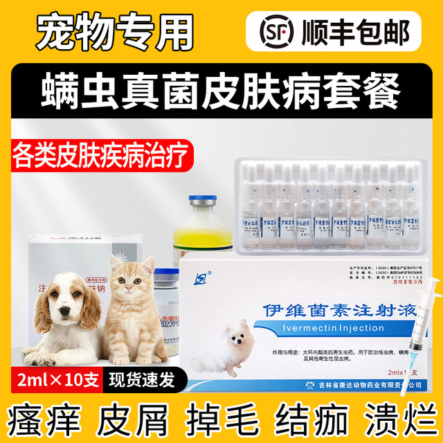 Ivermectin injection for pet cat and dog skin diseases, fungus, mite ...