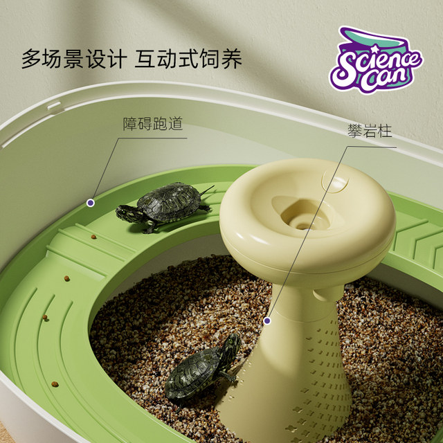 Mengduoduo little turtle egg pet cabin live animal hatching breeding ...