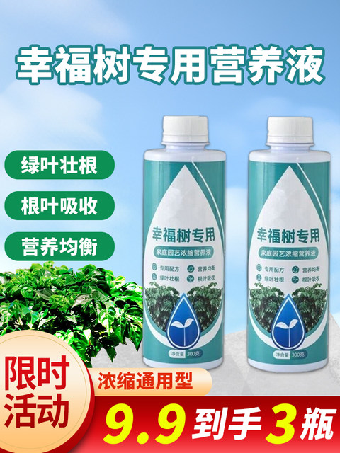 Happy Tree special fertilizer nutrient solution to treat fallen leaves ...