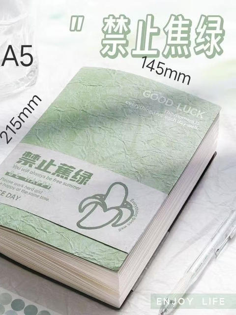 Folded high-value A5 simple ins postgraduate entrance examination diary ...