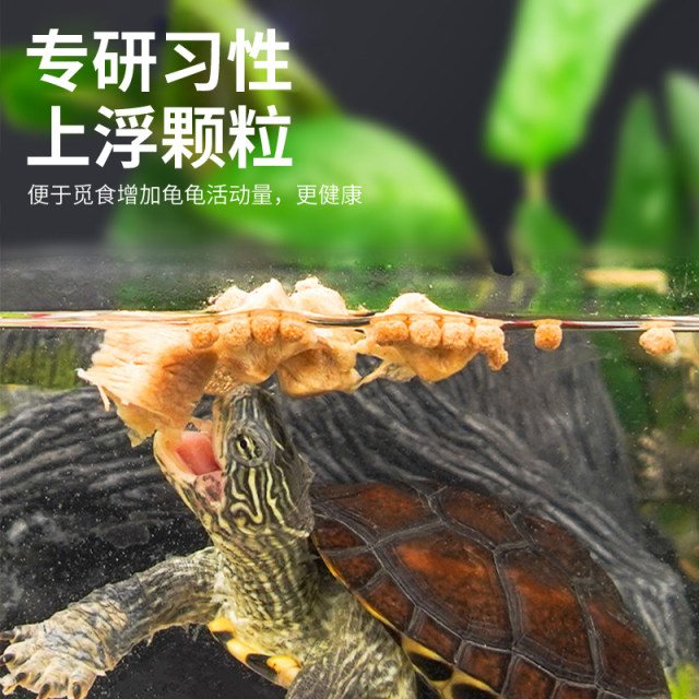 Beiyipin freeze-dried turtle food Brazilian snapping turtle, tortoise ...