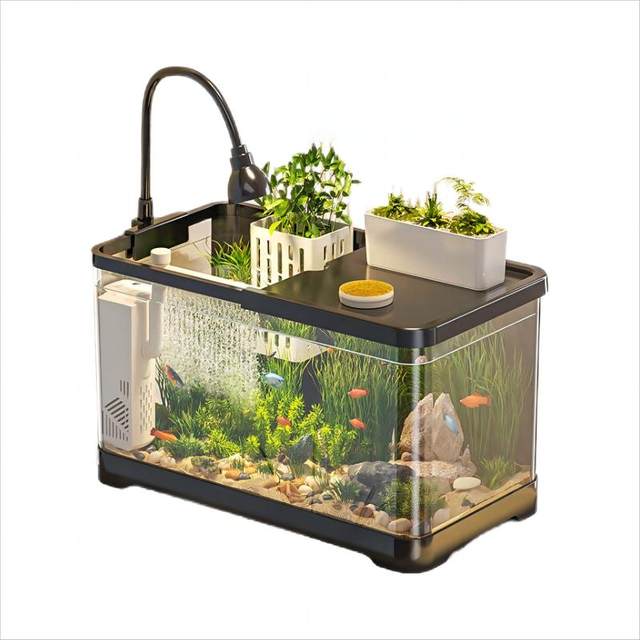 Filtration system fish tank home desktop living room next to small TV ...