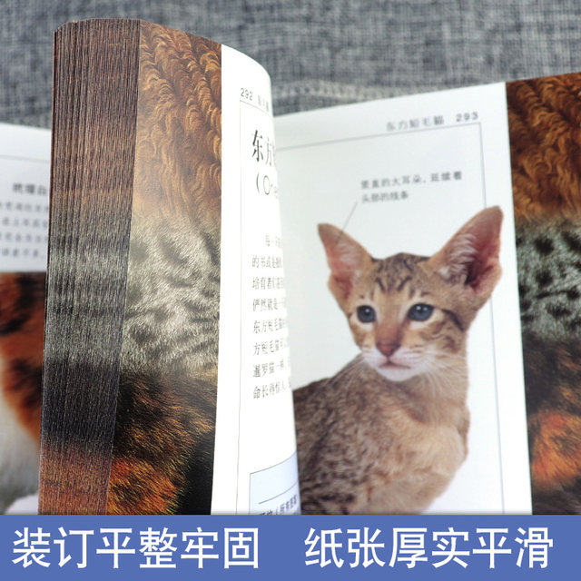 Genuine DK cat encyclopedia more than 70 kinds of cat science pet cat ...