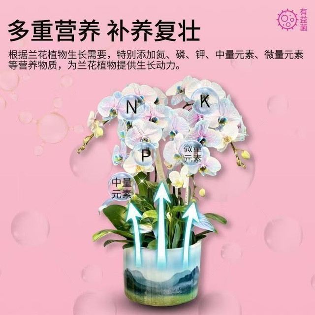Plant live bacteria powder orchid special microbial agent for root ...