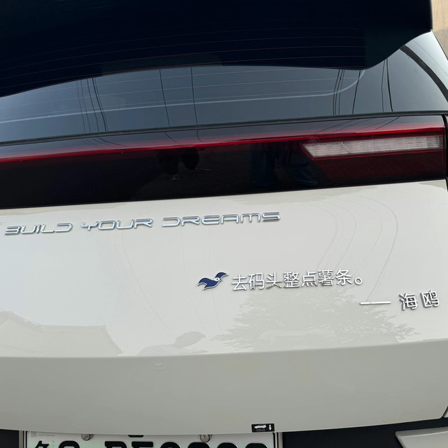 BYD Seagull Stainless Steel Customized Seagull Beats White Snake and ...