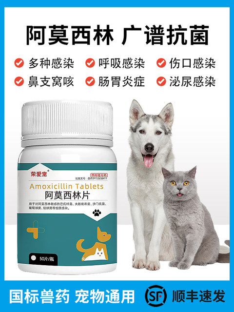 Pet dogs, dogs, cats, amoxicillin, cats, anti-inflammatory tablets ...
