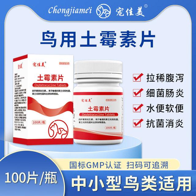 Bird Tablets Parrotic Parrot Xuanfeng Pigeon Pigeon Povery Diarda ...