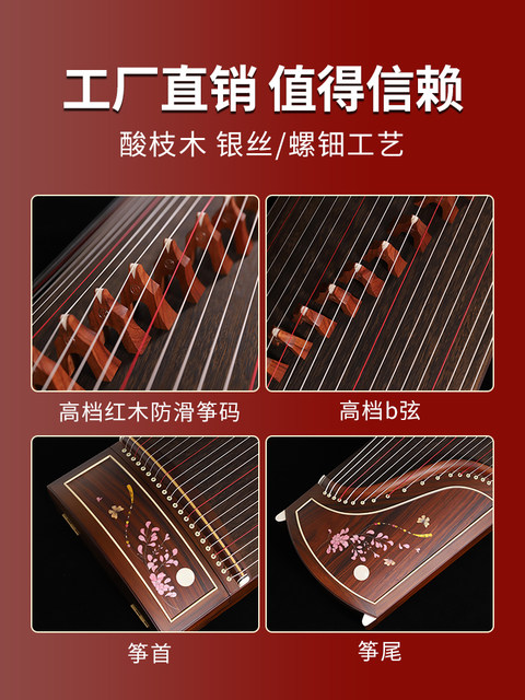 Guangyin professional grading guzheng level 10 beginners entry-level ...