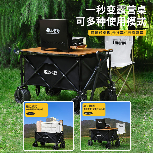 More than just wilderness camper carts, large children's reclining ...