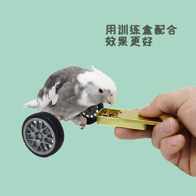 Parrot Toy Balance Bike to Relieve Boredom, Accompany and Provide ...