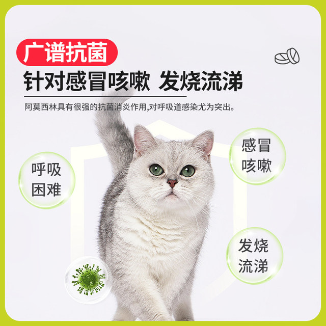 Cat cold medicine, sneezing and runny nose, pet dog cough anti ...