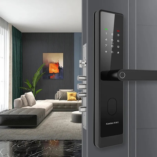 Discount for consultation] Kaidis smart lock F300 fingerprint password ...