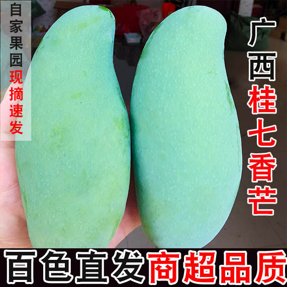 Authentic Guangxi Baise Gui Qi Mango 10 Jin [Jin equals 0.5 kg] Big ...