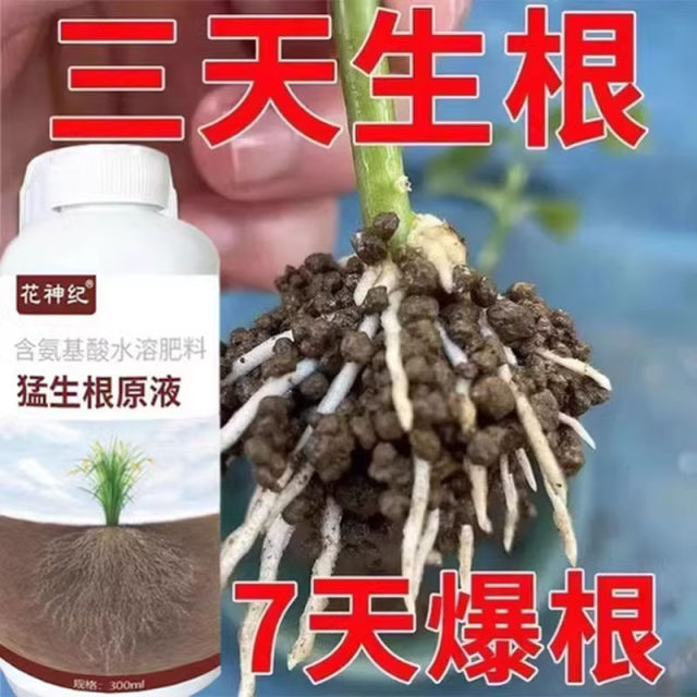 New fierce rooting liquid fertilization strong rooting and seedling ...