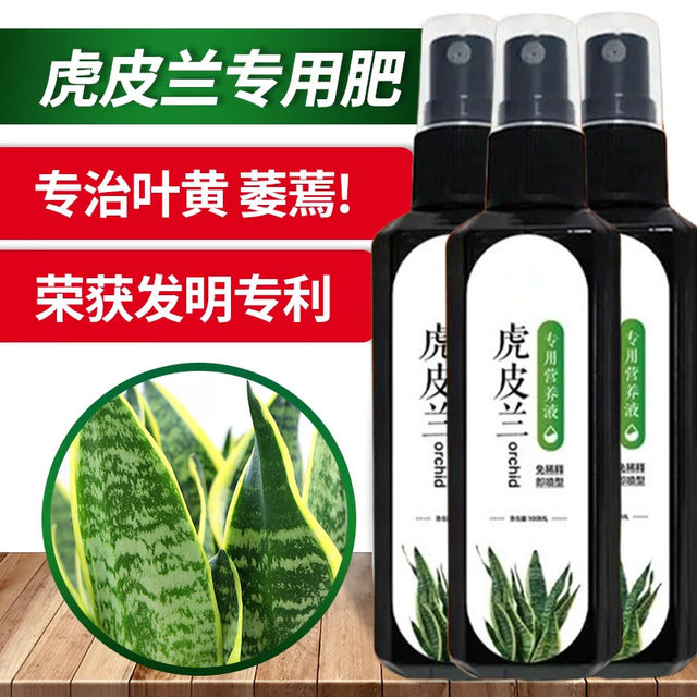 Tiger Pilan nutrient solution with rotten roots, yellow leaves and no ...