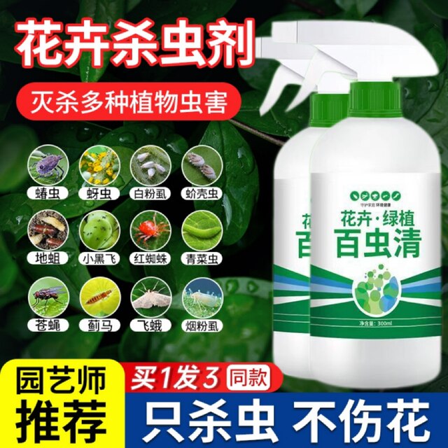 Commonly used insecticides for flower plants and rose flower diseases ...