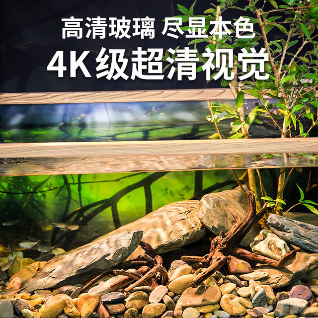 New glass fish tank native South American stream tank landscaping home ...