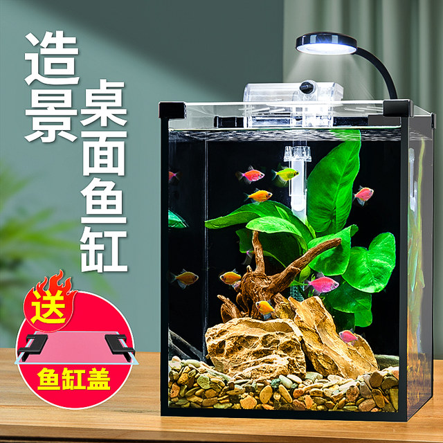 Ultra -white glass fish tank household living room new desktop small ...