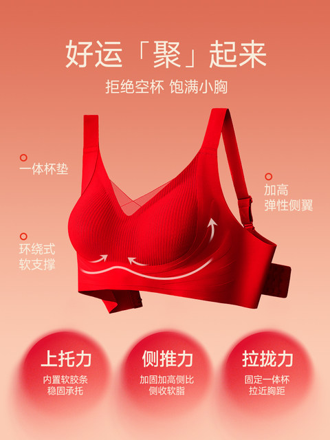 Tingmei Wedding Underwear Set Women's 2025 Year of the Snake Animal ...